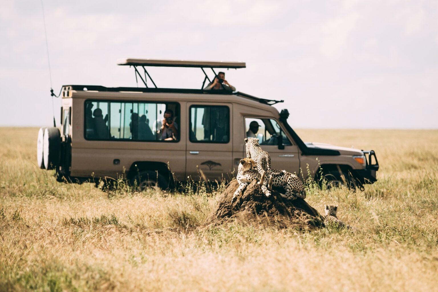 Bench Launches new East Africa Group Tour - Africa Beat