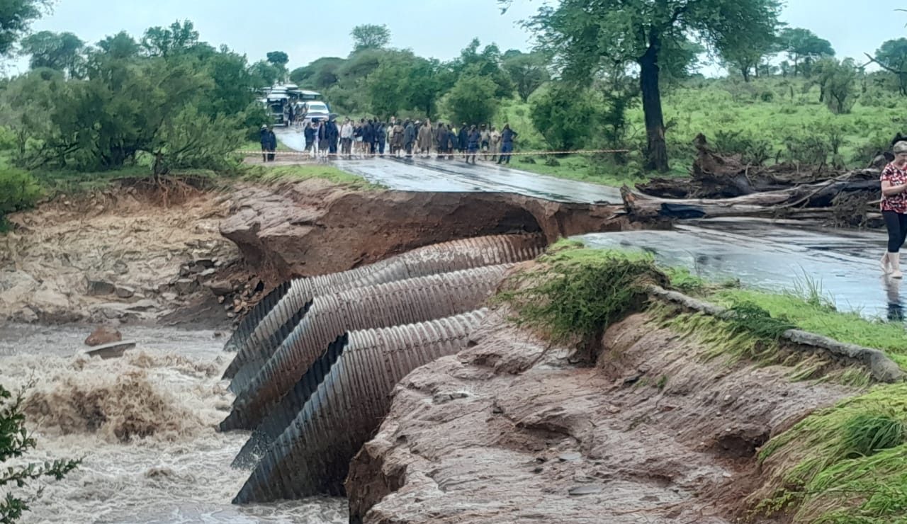 Flooding update for Kruger National Park - Africa Beat