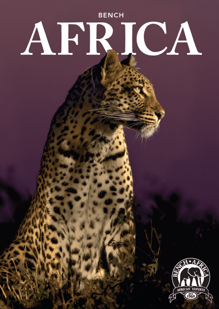Bench Africa launches the ultimate trade-friendly Africa brochure ...