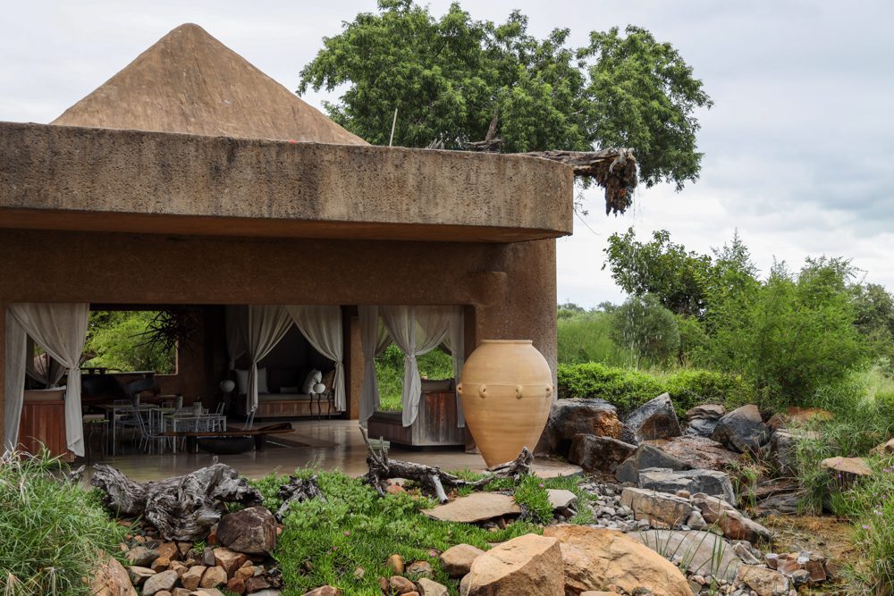 Sabi Sabi reflects on a year of growth, renewal and community impact ...