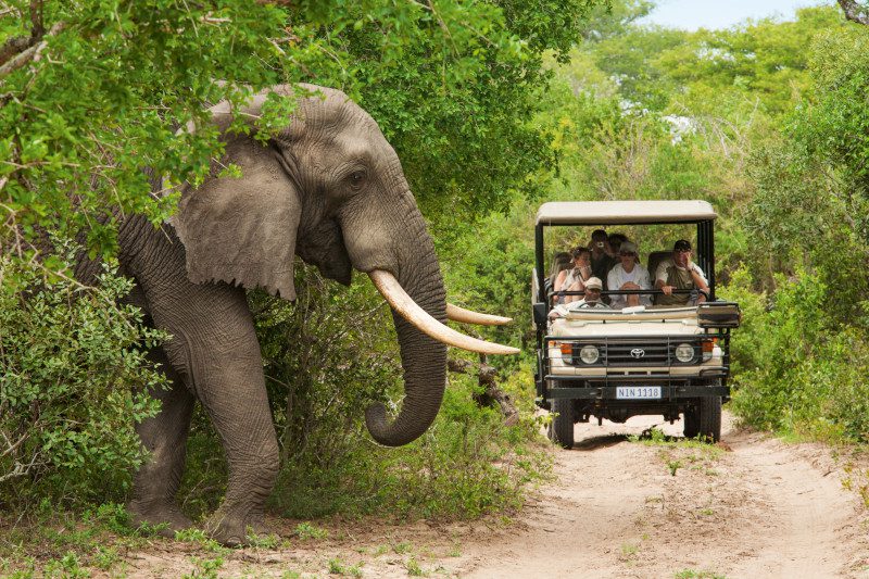 Collette launches new interactive Africa safaris e-brochure - Africa Beat