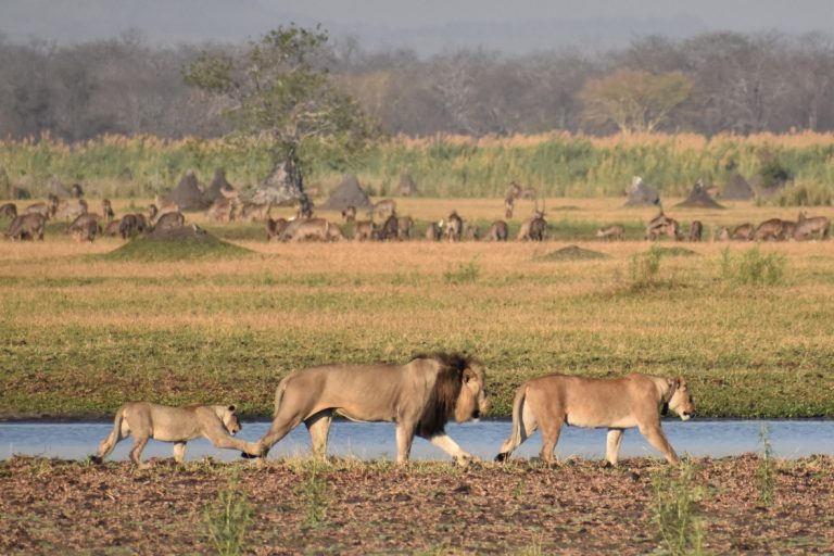 Bigger and bolder adventures signal Malawi’s momentum for 2026 - Africa ...
