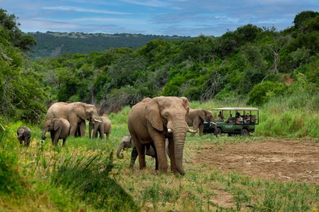 State of African Tourism report warns growth alone will not secure the ...